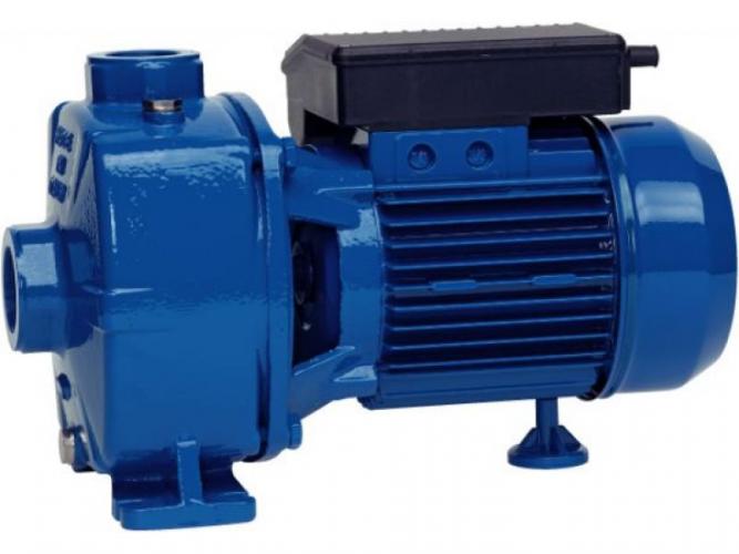 Насос центробежный двухступенчатый Speroni NBM 200 купить в интернет ...